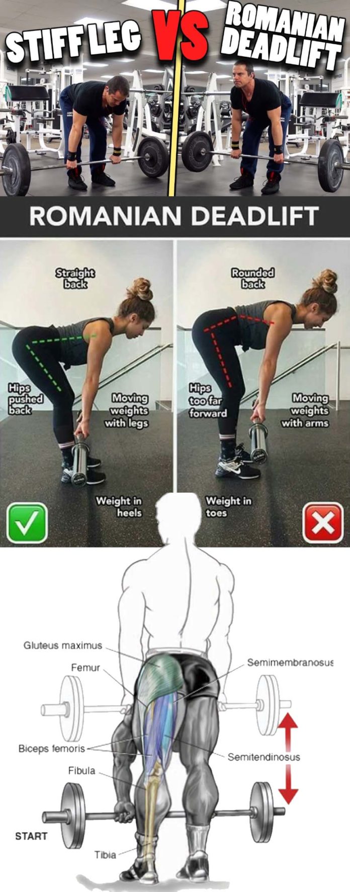 HOW TO BUILD YOUR BUTT | GUIDE