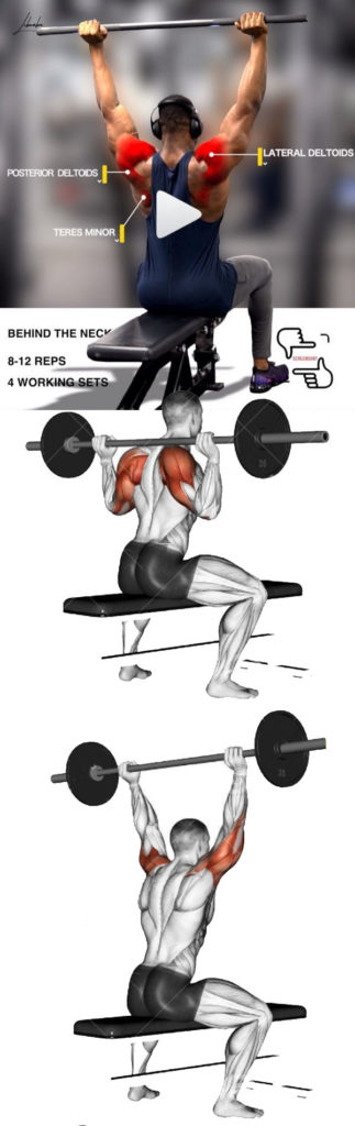 Rear Delt Development Exercises | Video & Guide