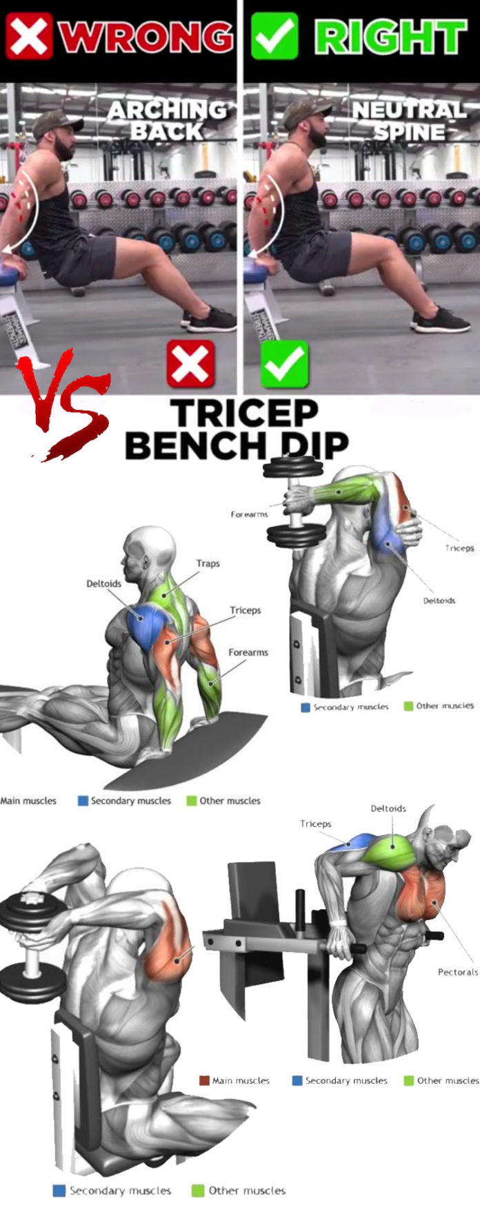 HOW TO TRICEP WORKOUT | VIDEO & GUIDE