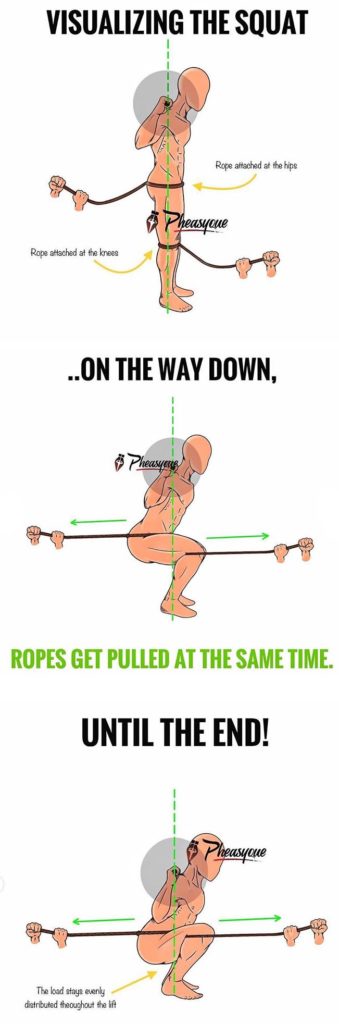 VISUALIZING THE SQUAT