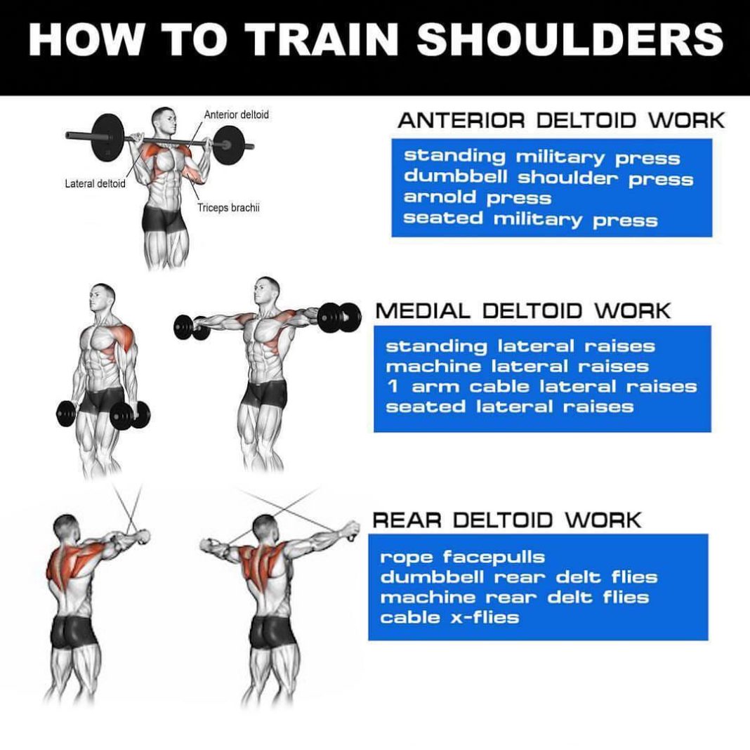 HOW TO SHOULDER SHOCK | FRONT | BACK | SIDE