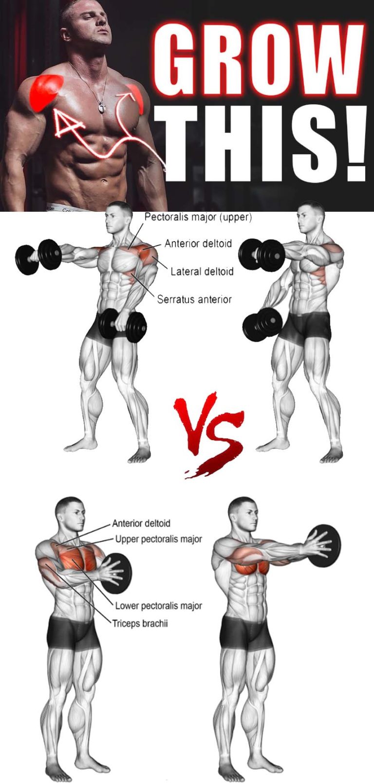 HOW TO SHOULDER SHOCK | FRONT | BACK | SIDE