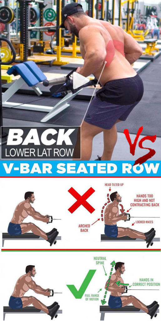 TUTORIAL BACK EXERCISES | VIDEO & GUIDE