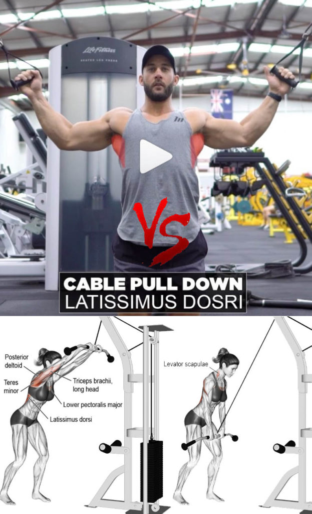 TUTORIAL BACK EXERCISES | VIDEO & GUIDE