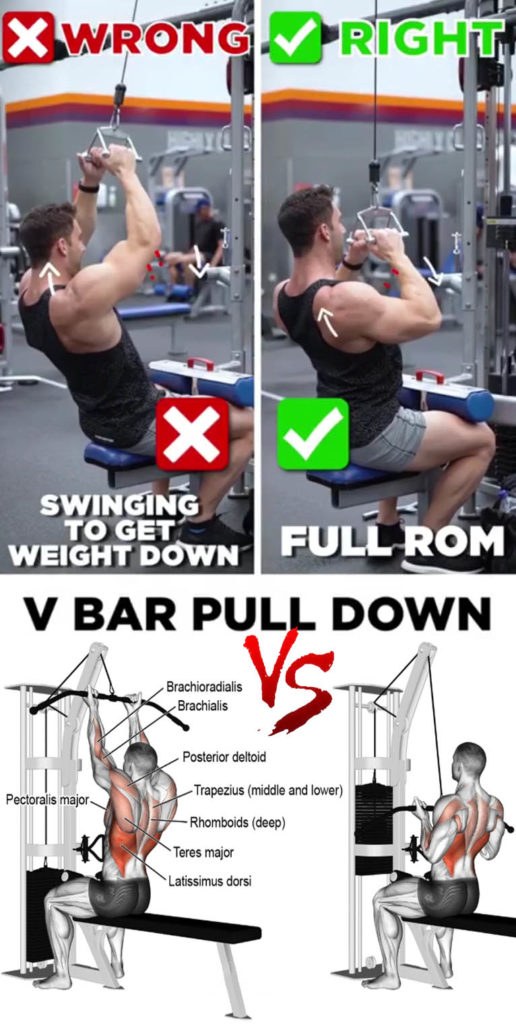 TUTORIAL BACK EXERCISES | VIDEO & GUIDE