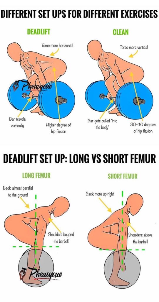 DEADLIFTS: CHIN UP OR CHIN DOWN?