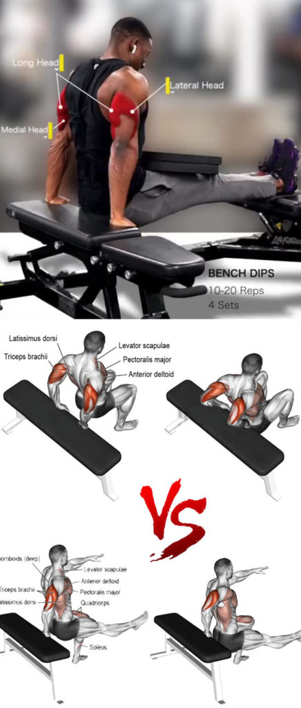 How to Bench Tricep Dips | Video & Guide