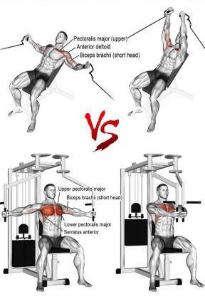 How to Cable Chest Pull & Tips | Guide