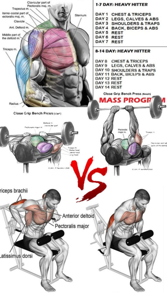 How to Bench Tricep Dips | Video & Guide