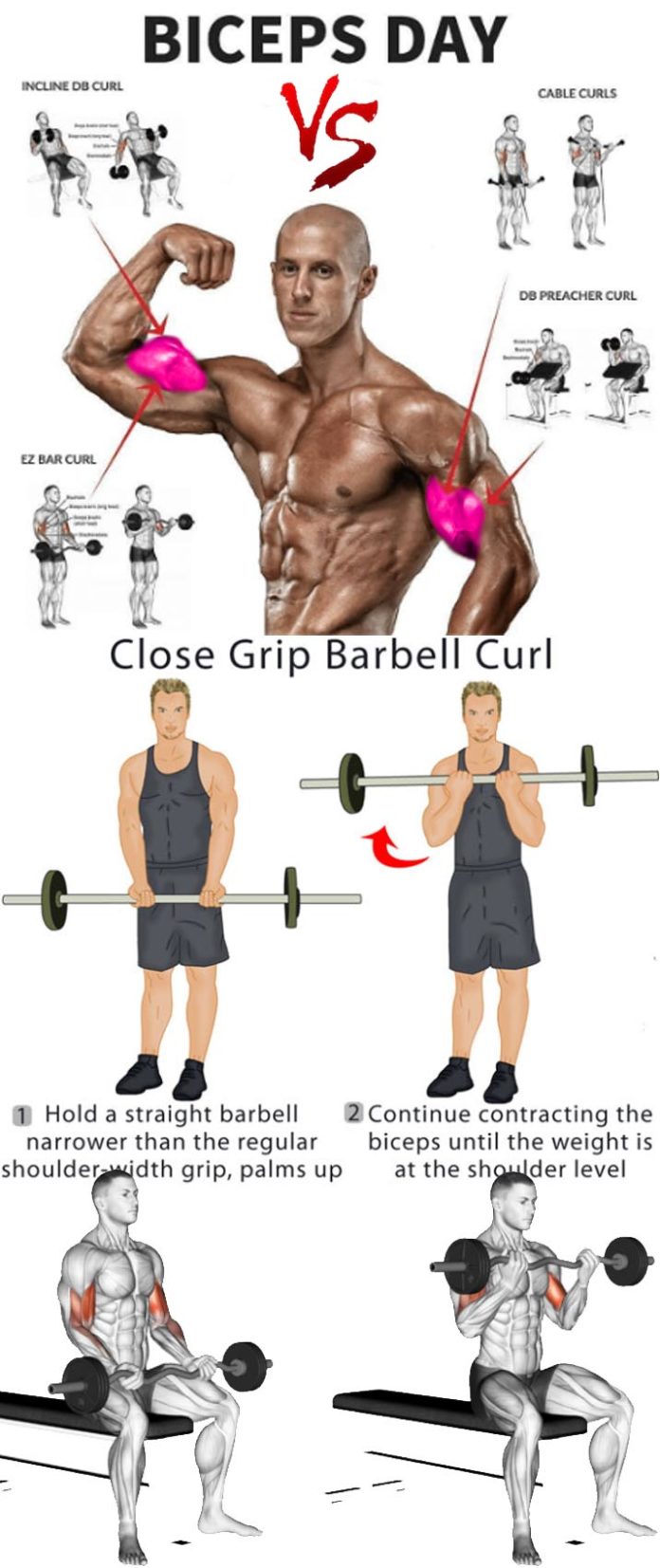 Tutorial Biceps Exercises & Tips