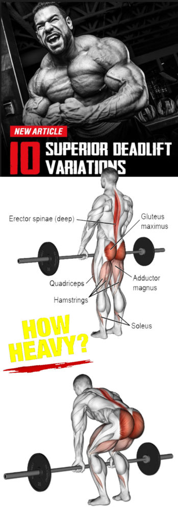 HOW TO PROPERLY TEST YOUR ONE REP MAX