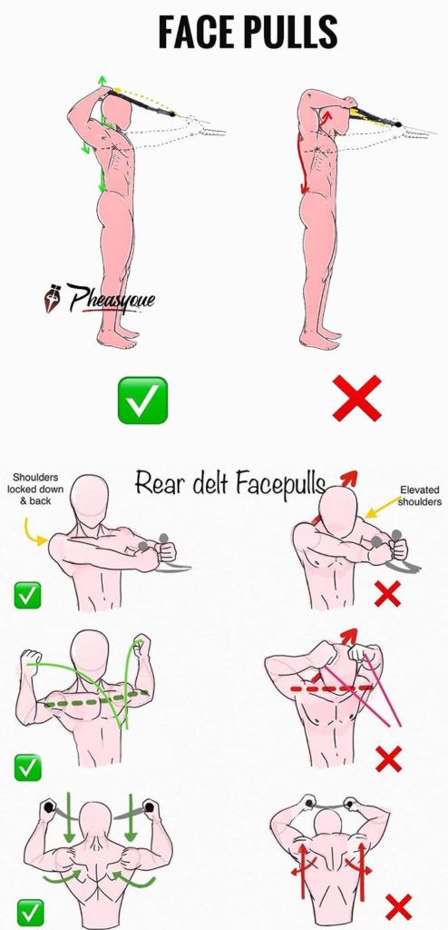 FACE PULLS EXECUTION