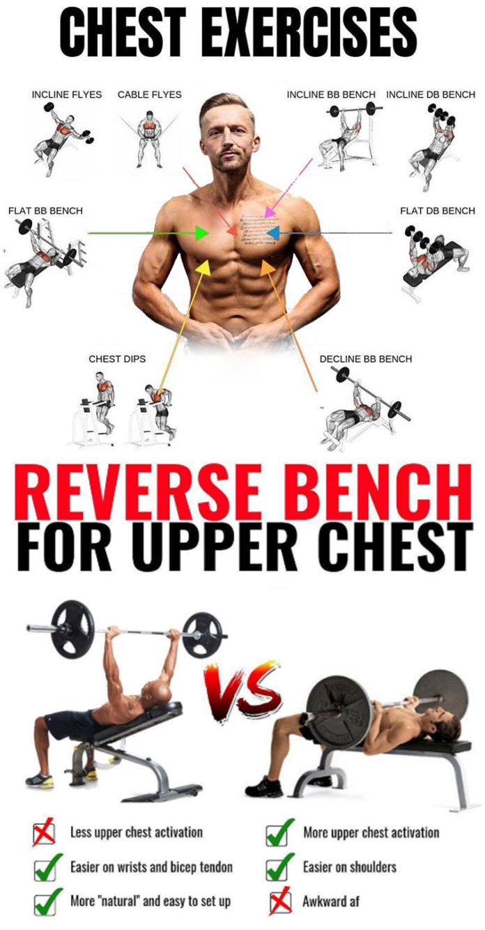 HOW TO REVERSE BENCH EXERCISES | GUIDE