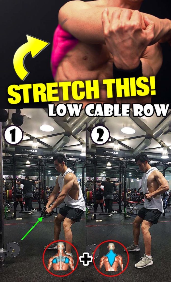 How to Back Row Exercises | Guide