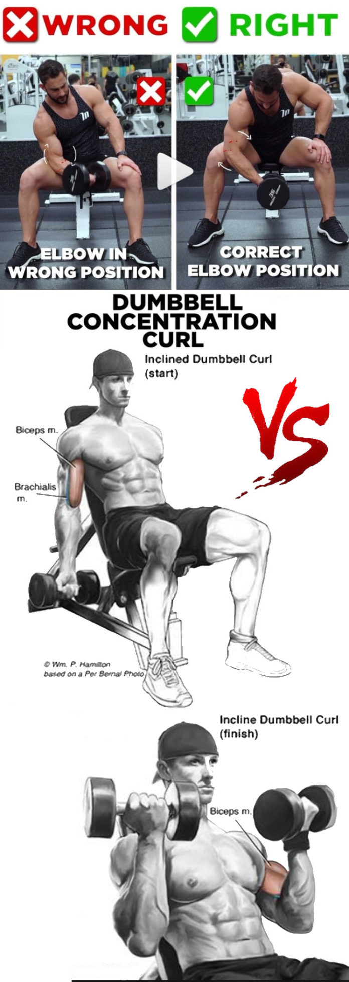 HOW TO BICEPS SPLIT WORKOUT