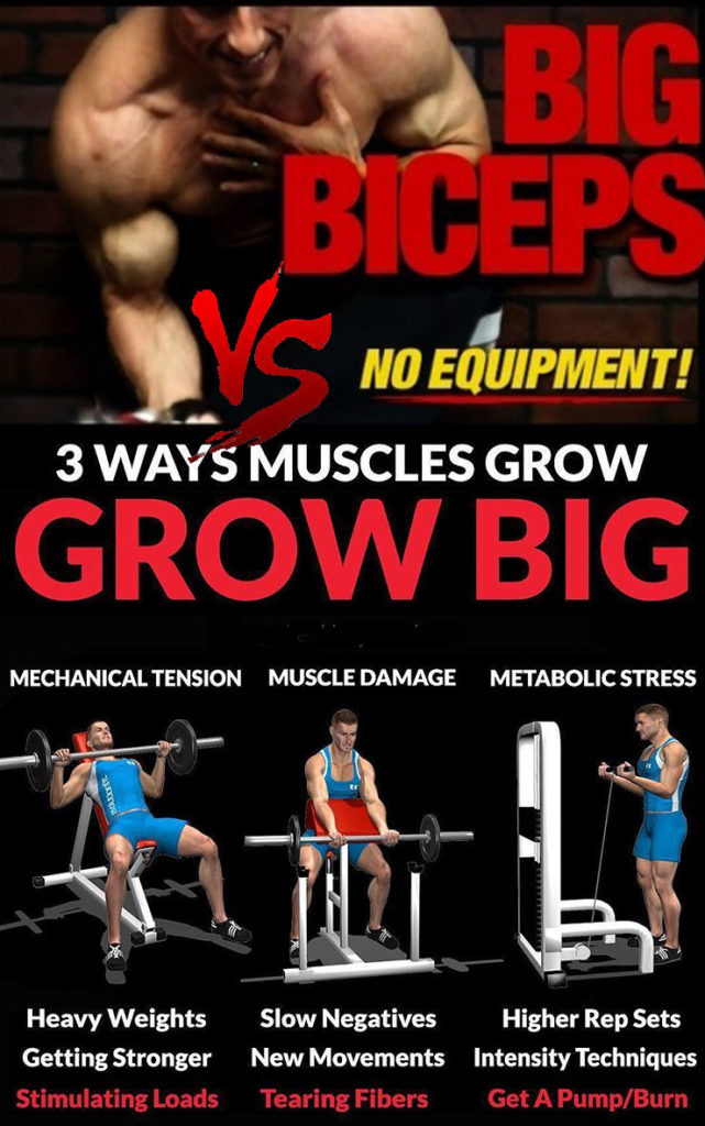 HOW TO BIG MUSCLE GROW | GUIDE