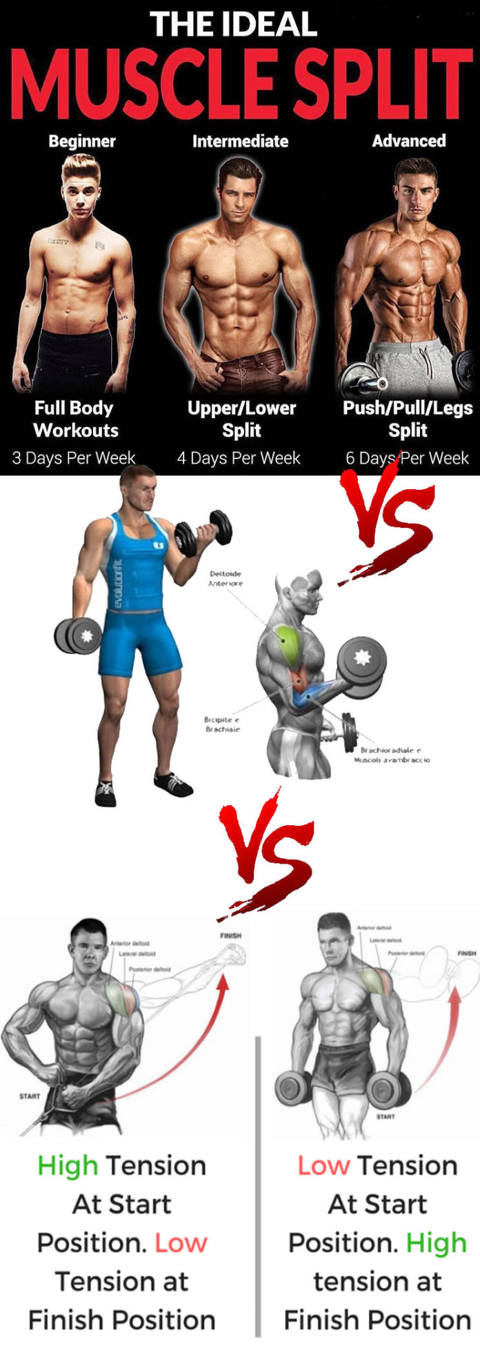 HOW TO BIG MUSCLE GROW | GUIDE