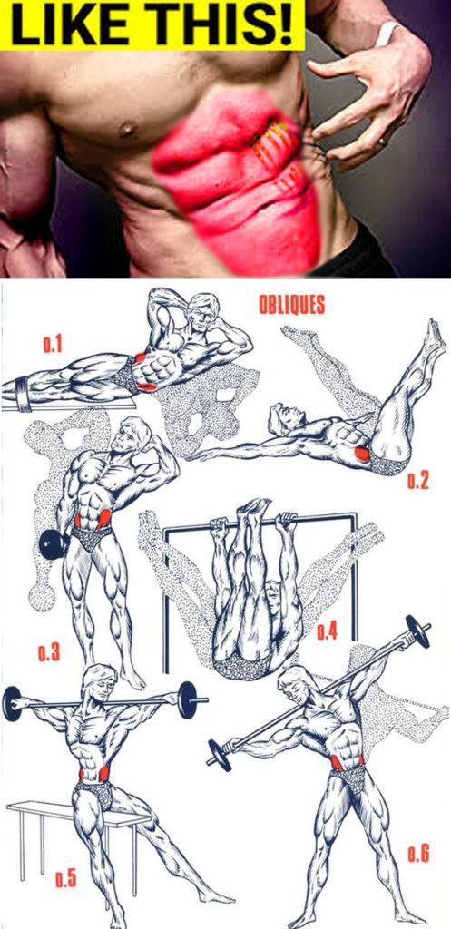 The Ultimate List of Compound Exercises