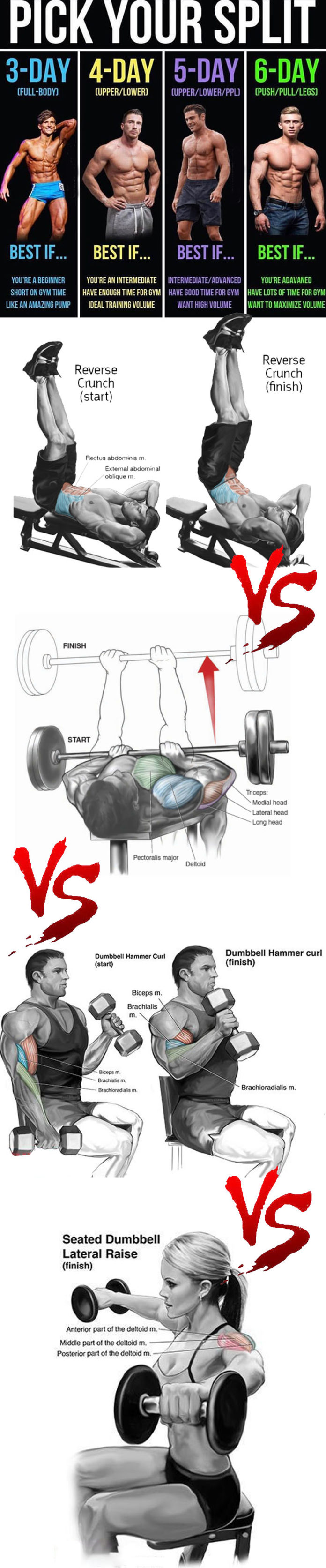 HOW TO PICK YOUR SPLIT | GUIDE