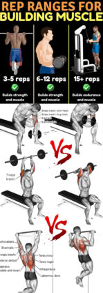 HOW TO REP RANGES FOR BUILDING MUSCLE