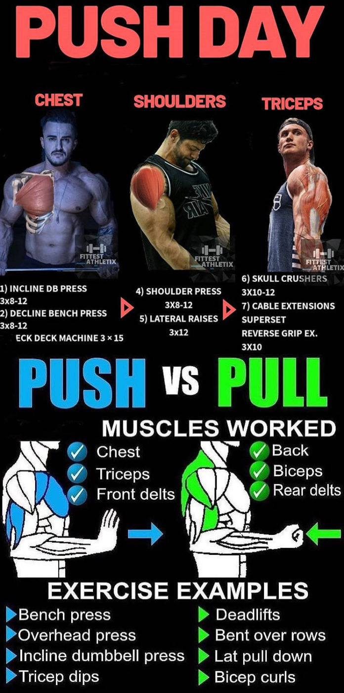 HOW TO REP RANGES FOR BUILDING MUSCLE