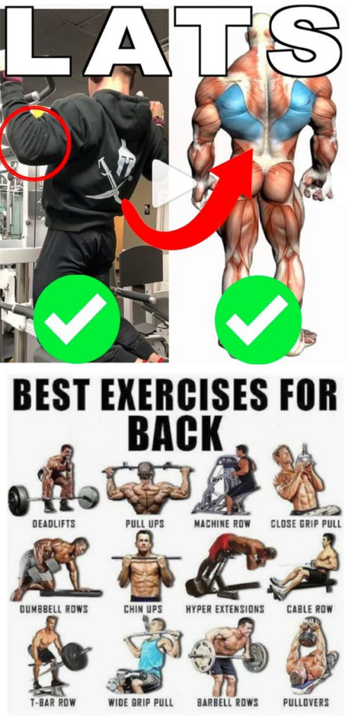 HOW TO BEST EXERCISES FOR LAT | GUIDE