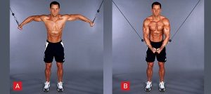 How to Cable Chest Pull & Tips | Guide