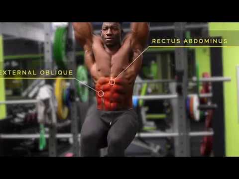 HOT SIX PACK EXERCISES | VIDEO & GUIDE