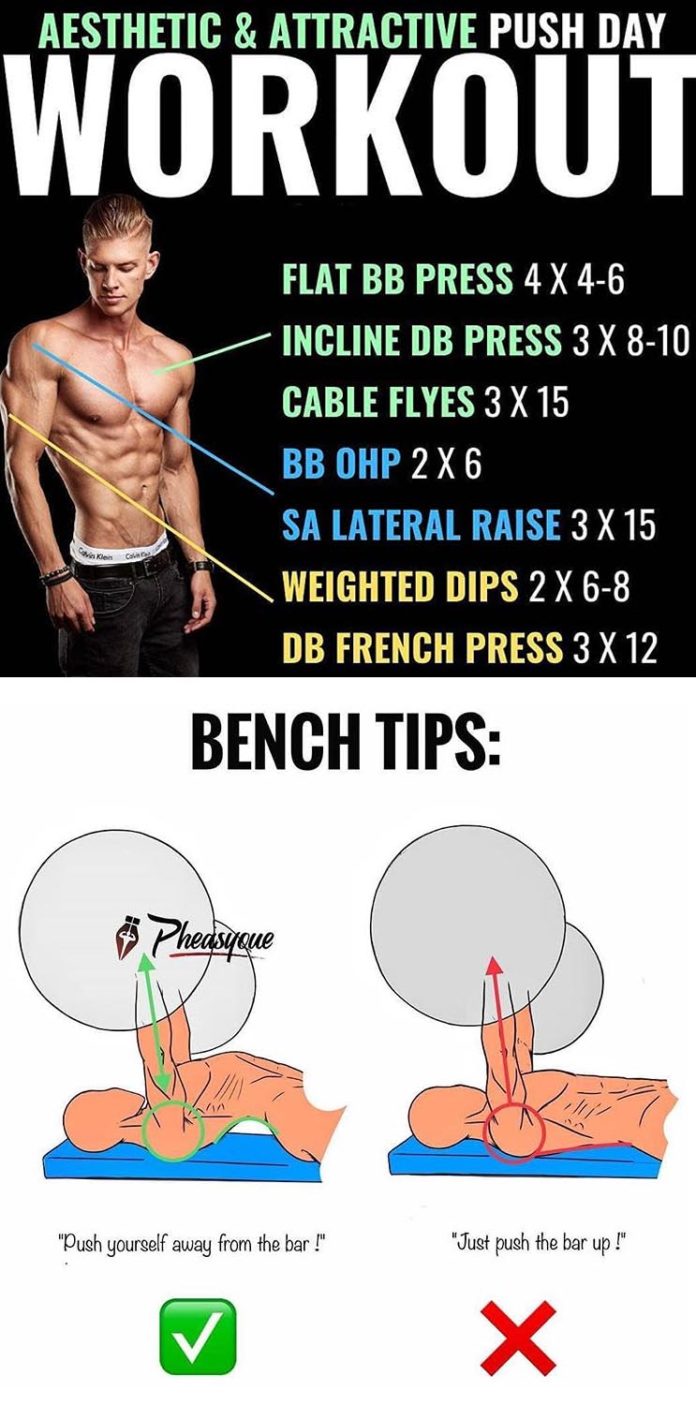 Build a Powerful Chest | Guide