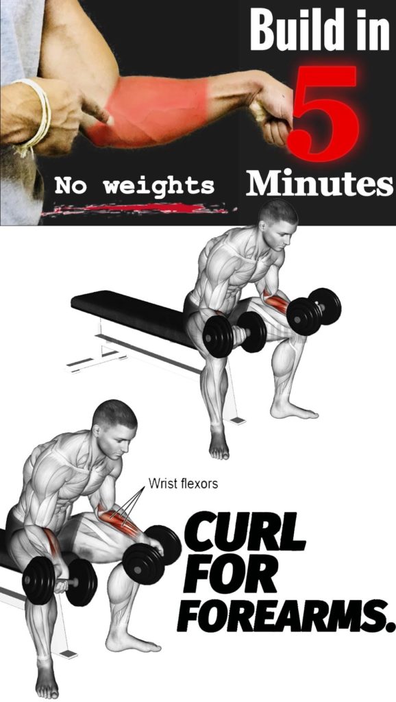 The Best Forearms Exercises of All Time