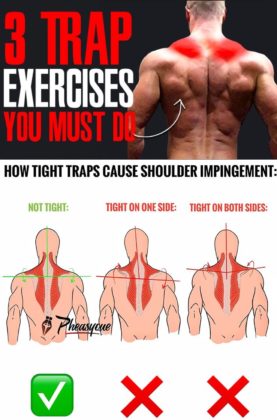 BARBELL SHRUGS & GUIDE
