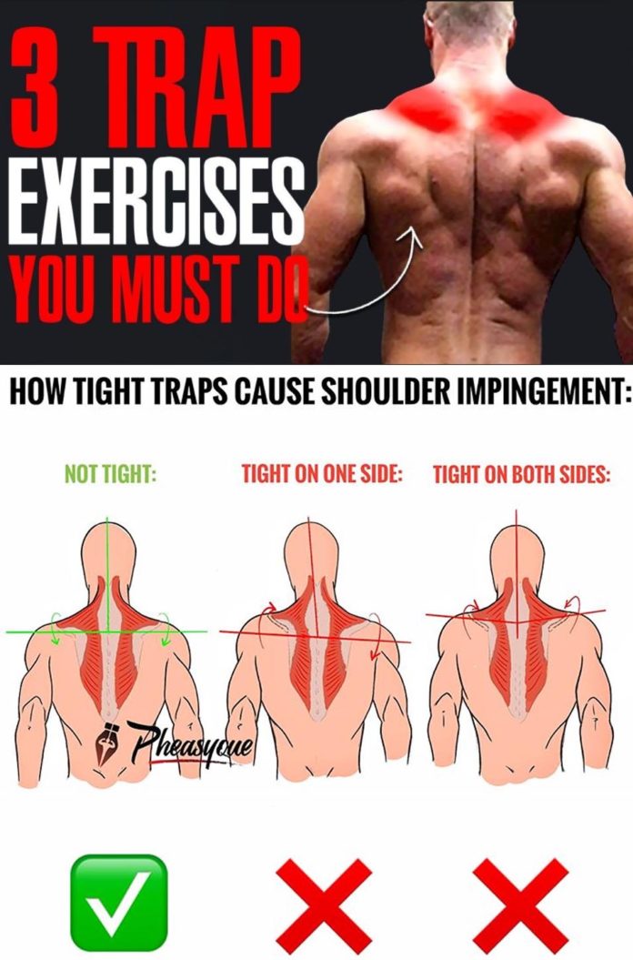 BARBELL SHRUGS & GUIDE