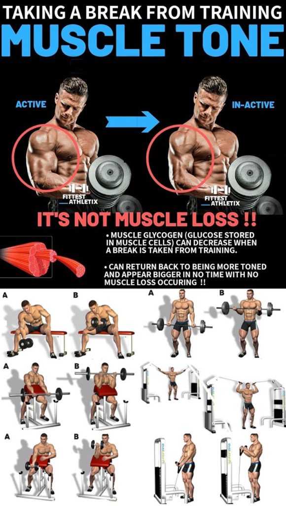How To Biceps Workout | Guide & Tips