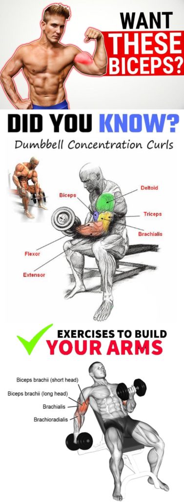 How To Biceps Workout | Guide & Tips