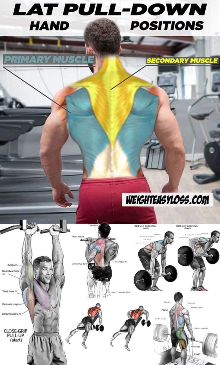 TOP Best Back Exercises | Guide