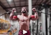 LOWER PECS EXERCISES | GUIDE