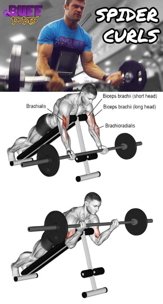 3 Best Biceps Exercises for Men's | Arm Workouts & Tips