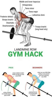 TUTORIAL BACK WORKOUT & GUIDE