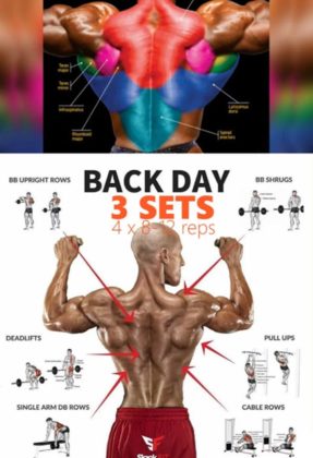 TUTORIAL BACK WORKOUT & GUIDE