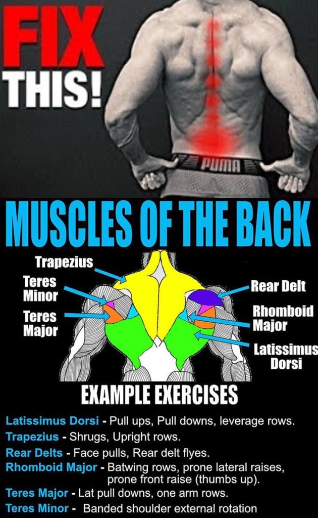 HOW TO BACK ISOLATION | GUIDE