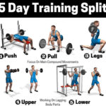 5 Day Training Split | Guide