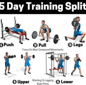 5 Day Training Split | Guide