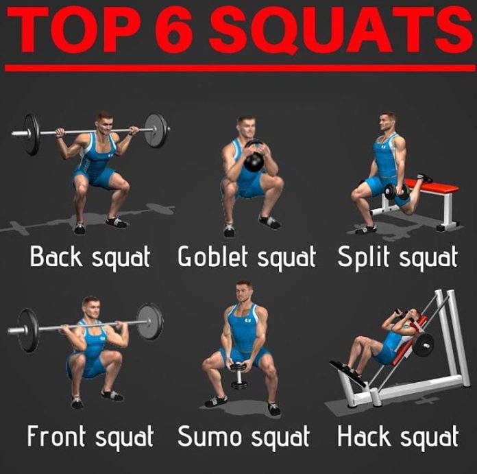 TOP 6 SQUATS EXERCISES | GUIDE