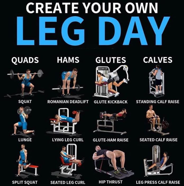 TOP 6 SQUATS EXERCISES | GUIDE