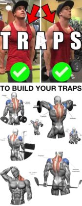 Tutorial Traps Workout | Video & Guide