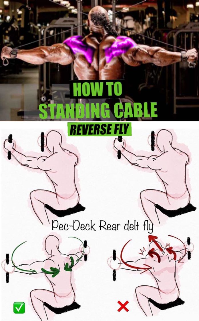How to Reverse Fly | Guide