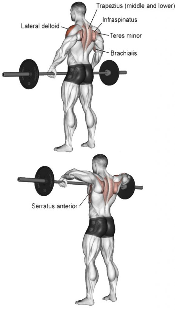 TUTORIAL SHOULDER EXERCISES | GUIDE