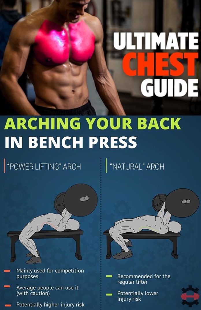 How to Back in the Bench Press | Picture & Guide