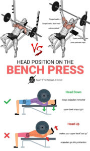 How to Back in the Bench Press | Picture & Guide