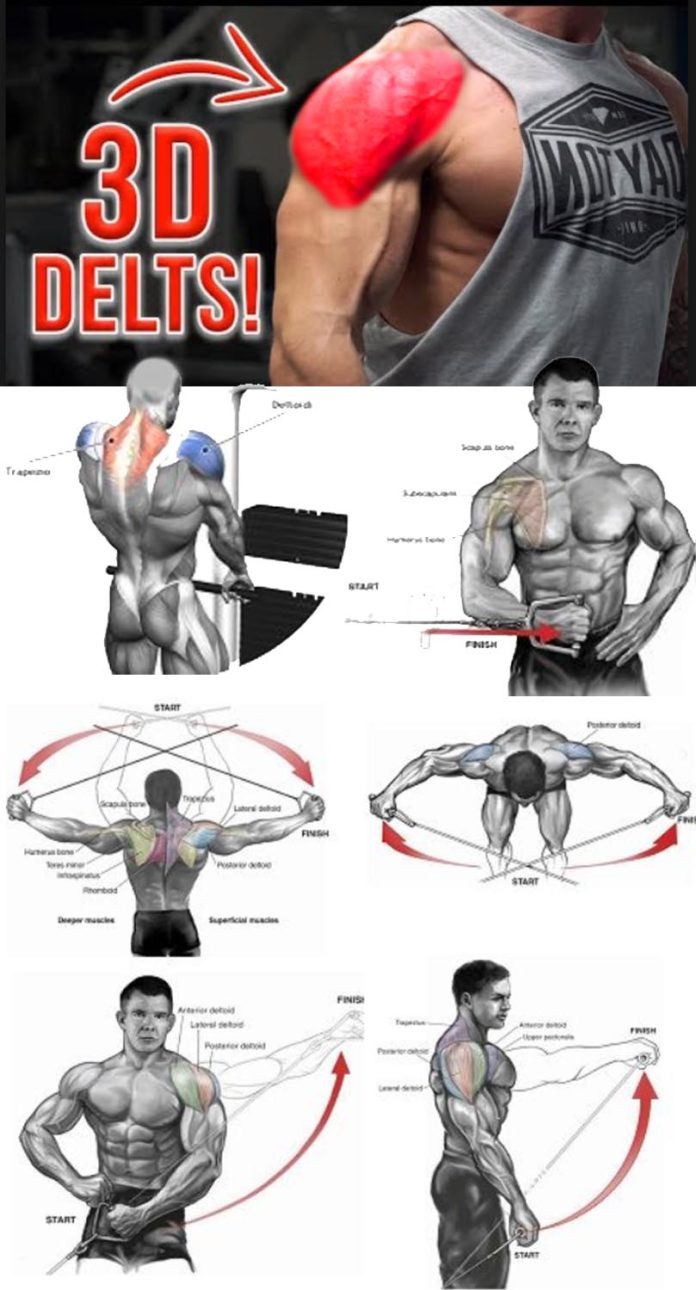 TUTORIAL SHOULDER EXERCISES | GUIDE